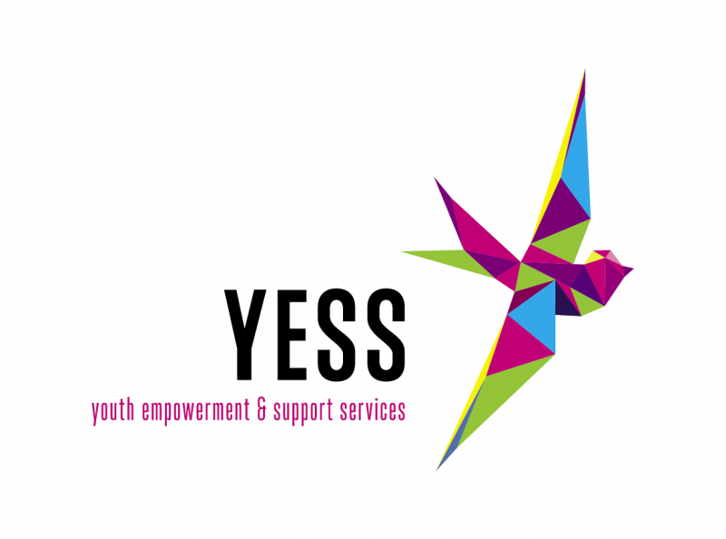 Darren Tonn | YESS: Logo & Identity System