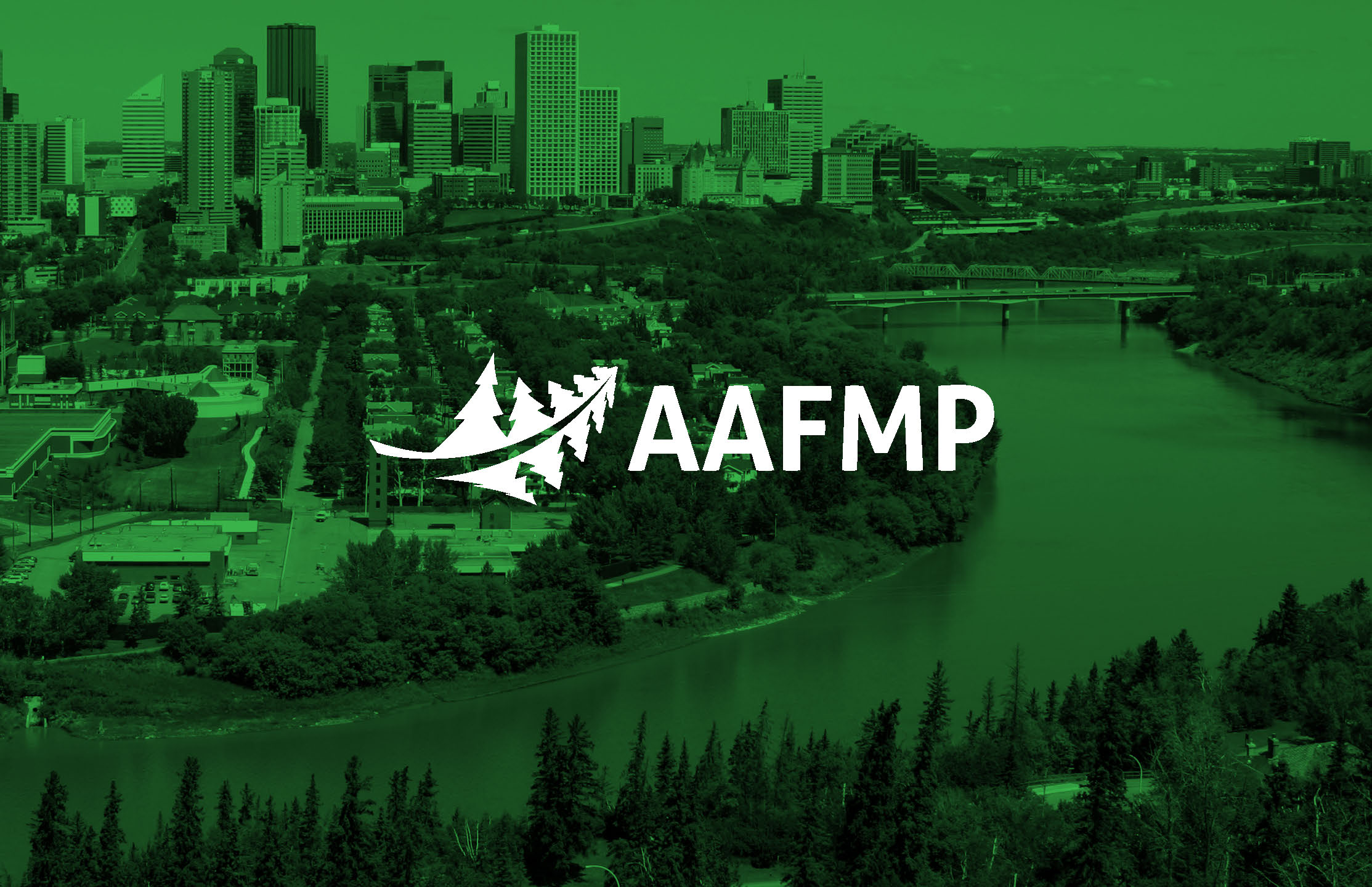 Darren Tonn | AAFMP: Logo & Identity System