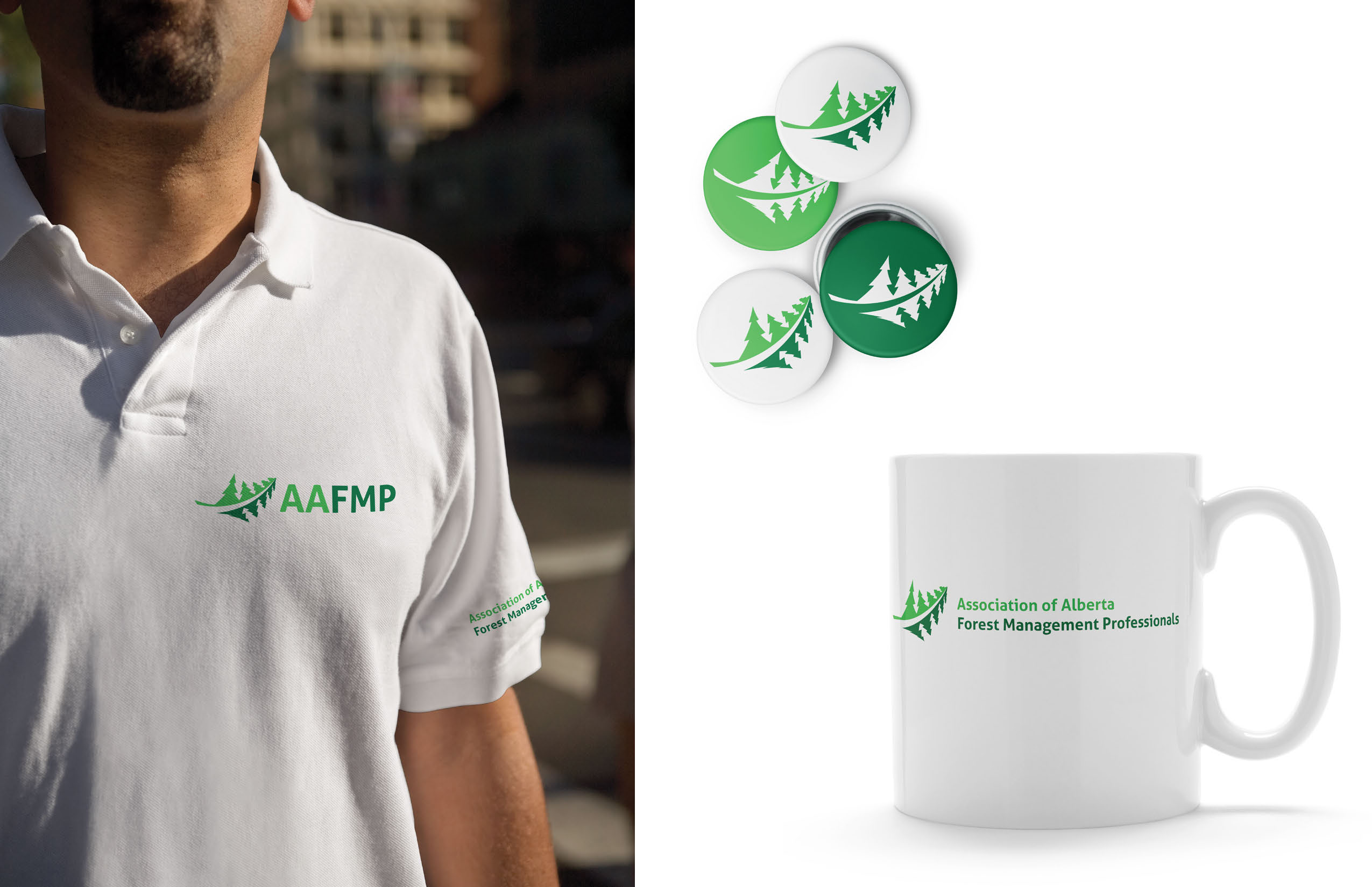 Darren Tonn | AAFMP: Logo & Identity System